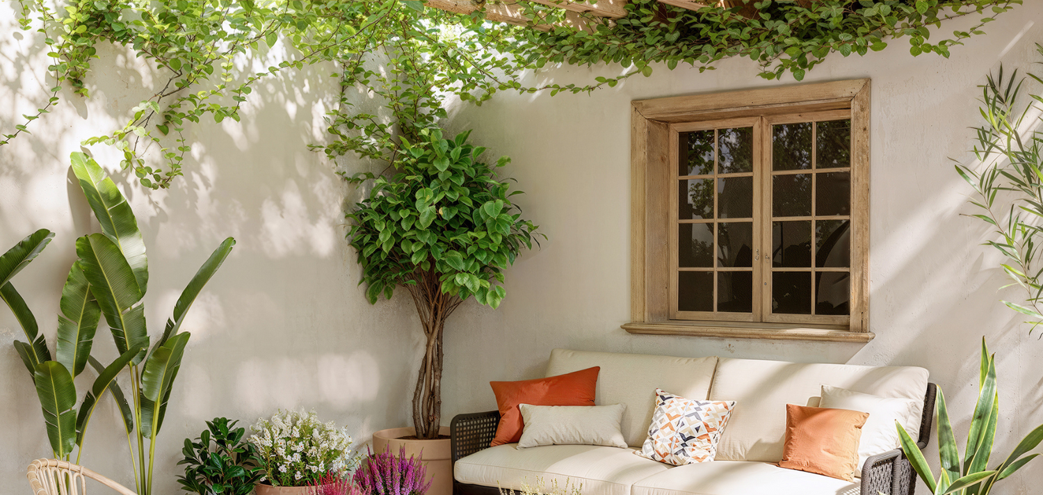 Vantagens de viver num ambiente mais verde – Bioma Plants