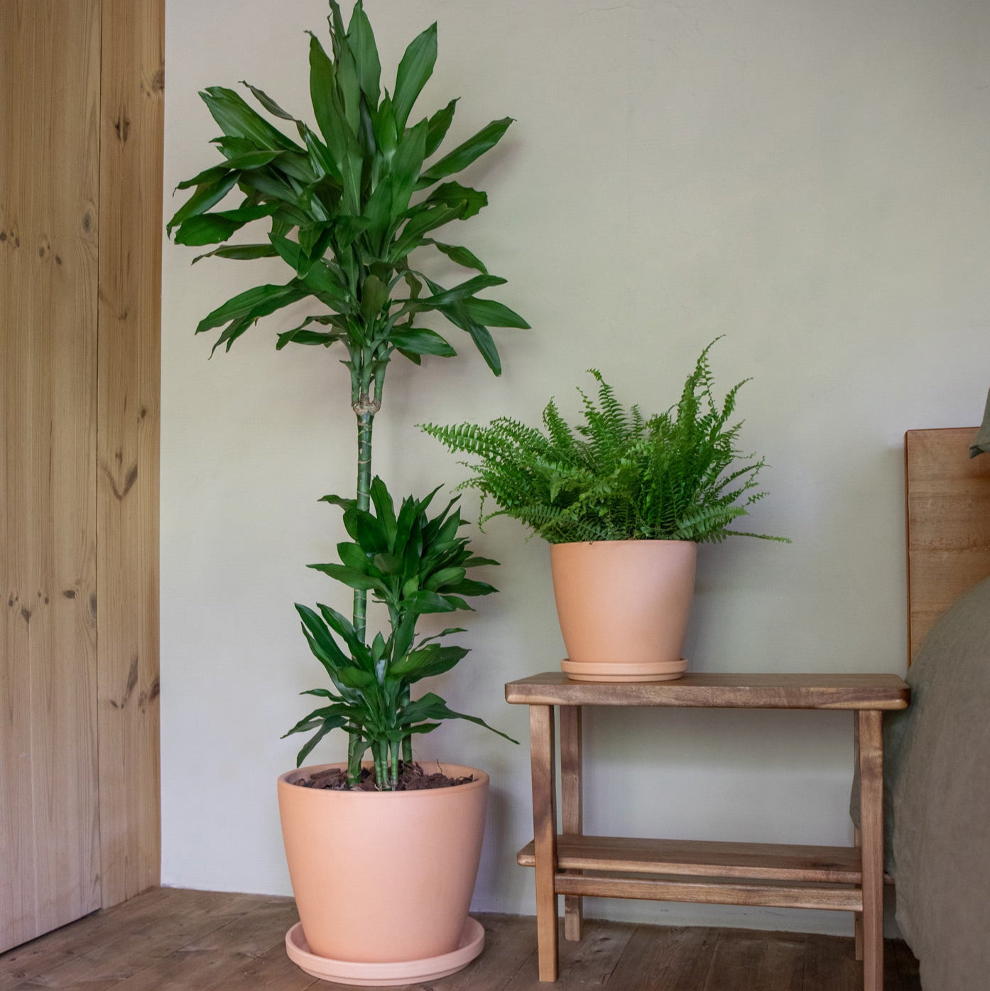 Vasos de Barro | Bioma Plants