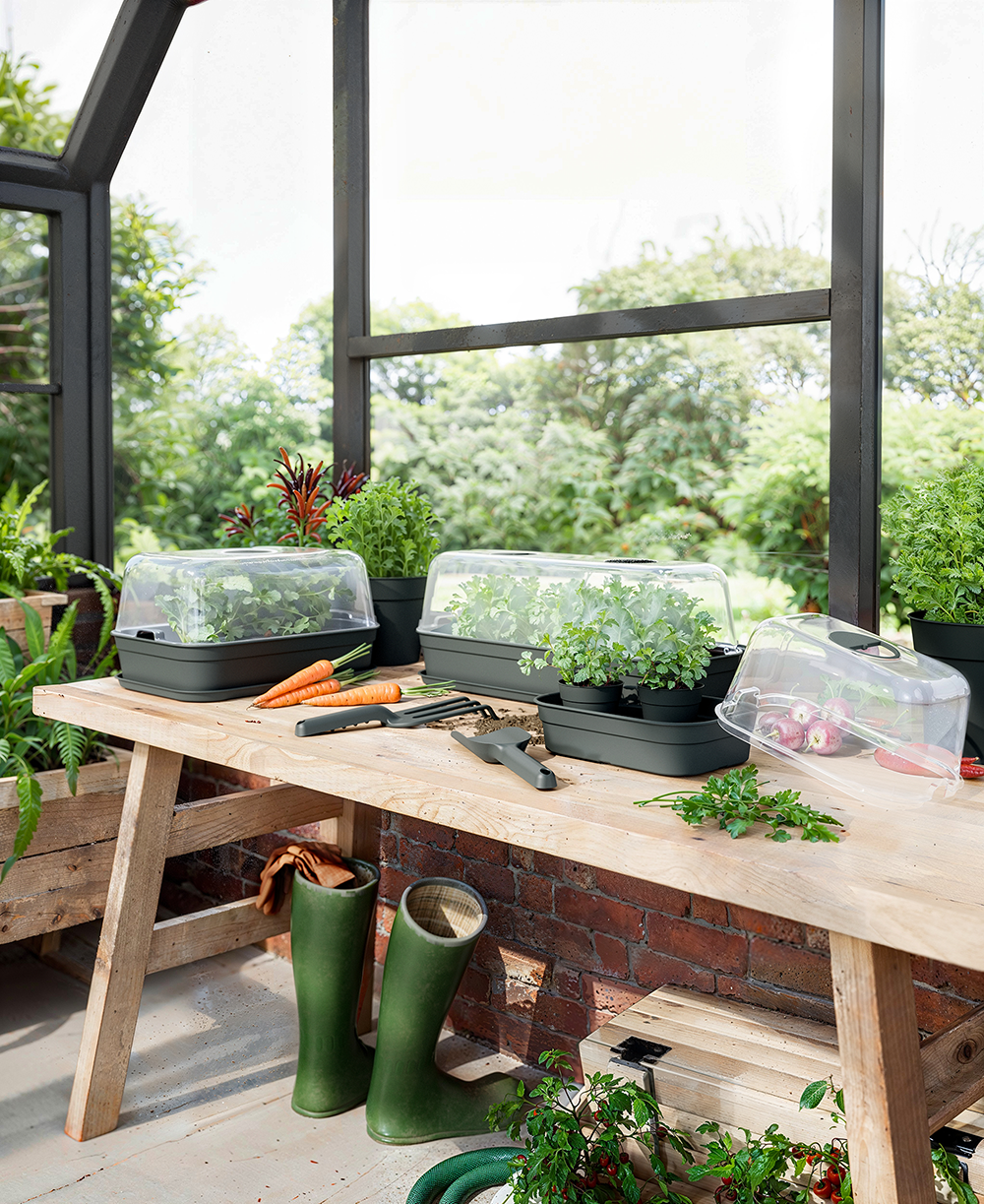 Accessories and Tools | Bioma Plants