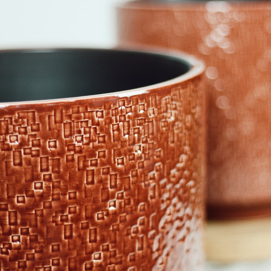 Vaso Minerva Vermelho | Bioma Plants