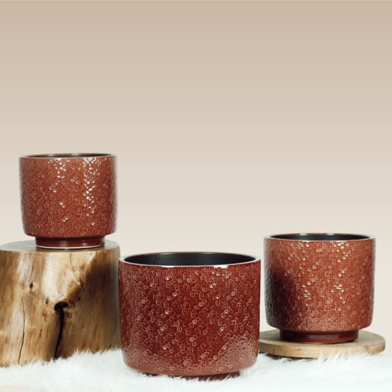 Vaso Minerva Vermelho | Bioma Plants
